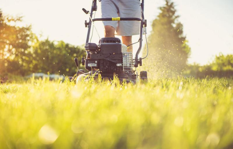 Summer Lawn Care: Mowing, Weed Control and Watering Practices