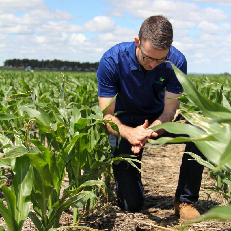 Streamlines Episode 13: Soil Health & Drainage