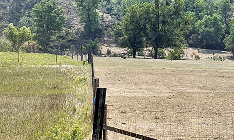 The Lasting Effects of Overgrazing on Rangeland Ecosystems