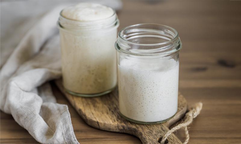 Sourdough Starters