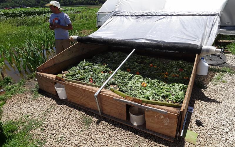 Insect Bioconversion: How to Compost With Black Soldier Flies