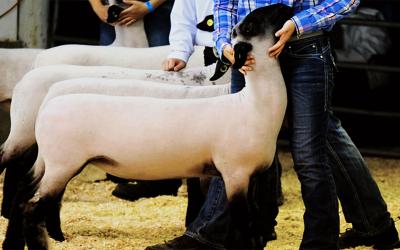 Events | SDSU Extension