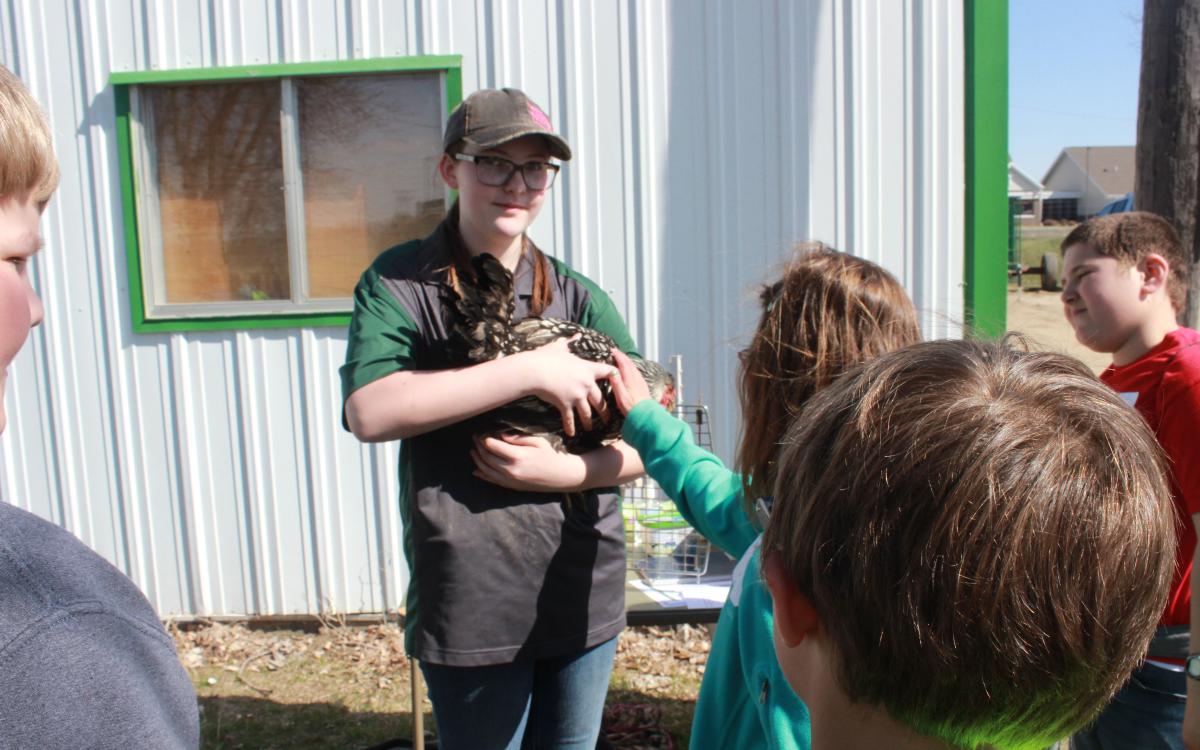 4-H Swine Project
