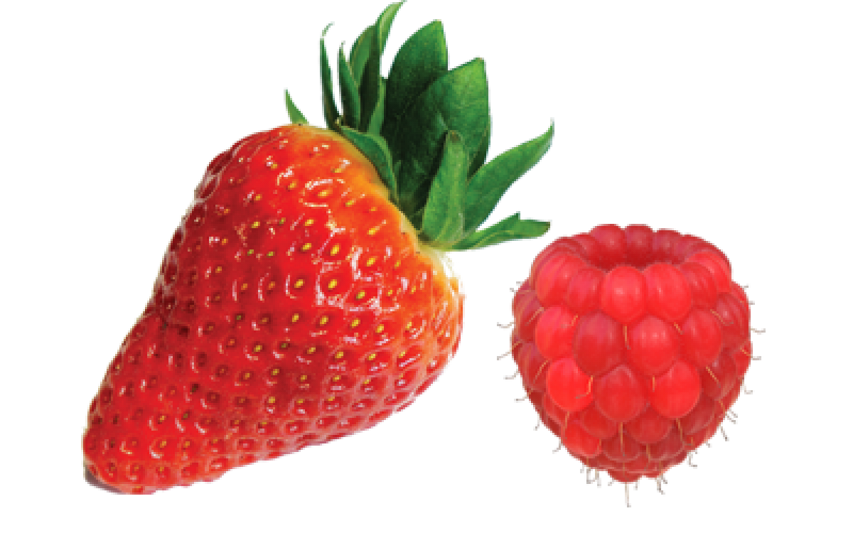 Raspberries: Harvest and Storage