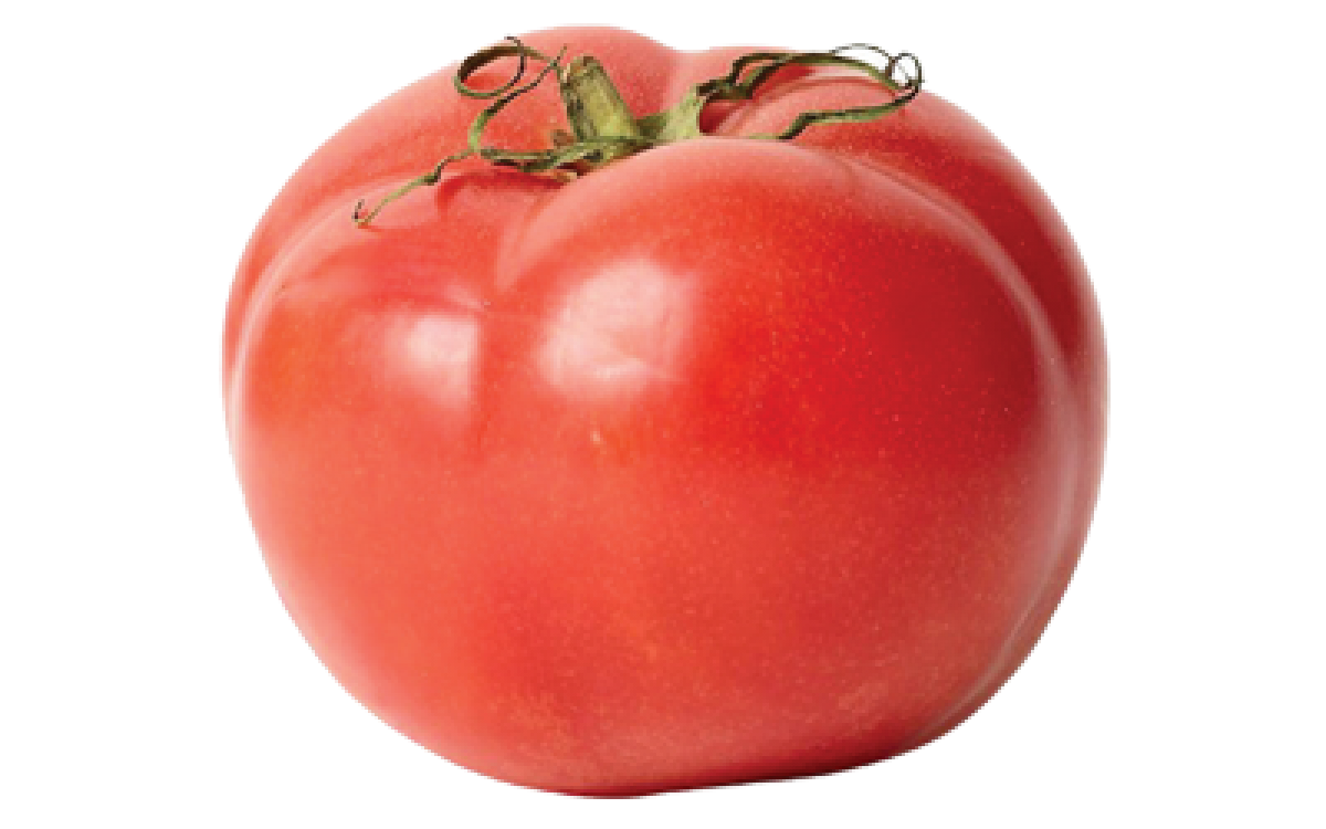Tomato: How to Grow It