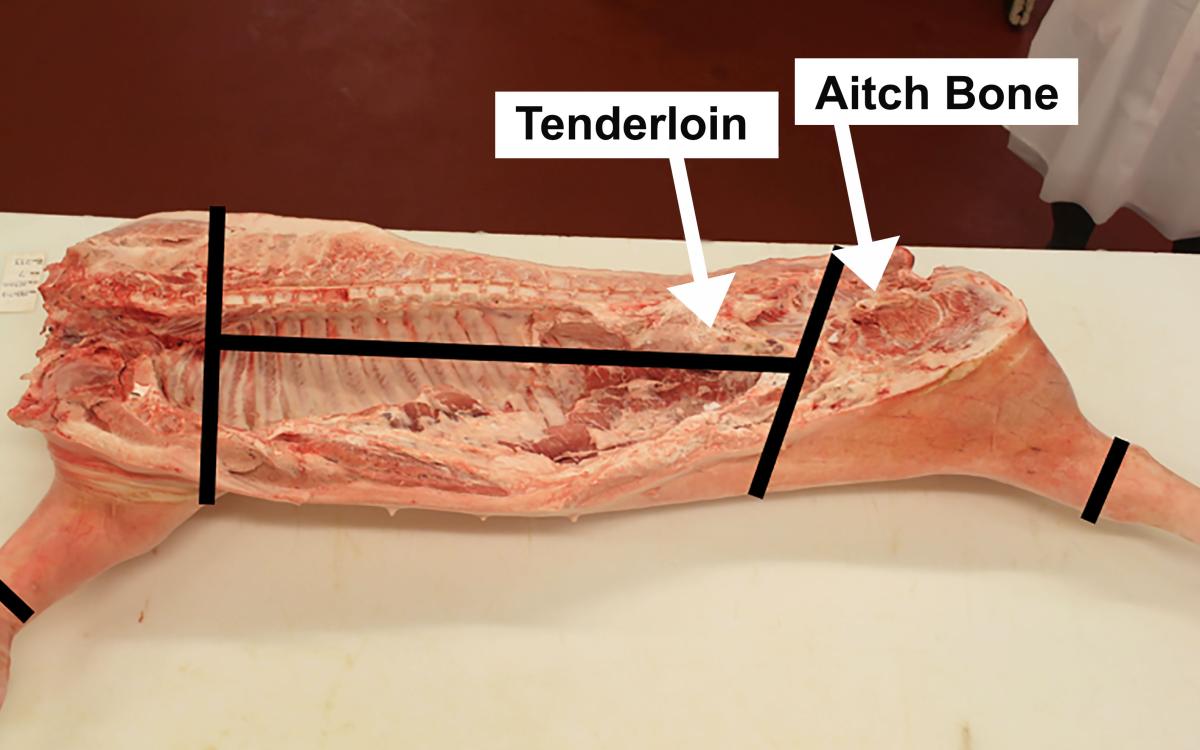 Pork Carcass Fabrication: Primal and Retail Cuts