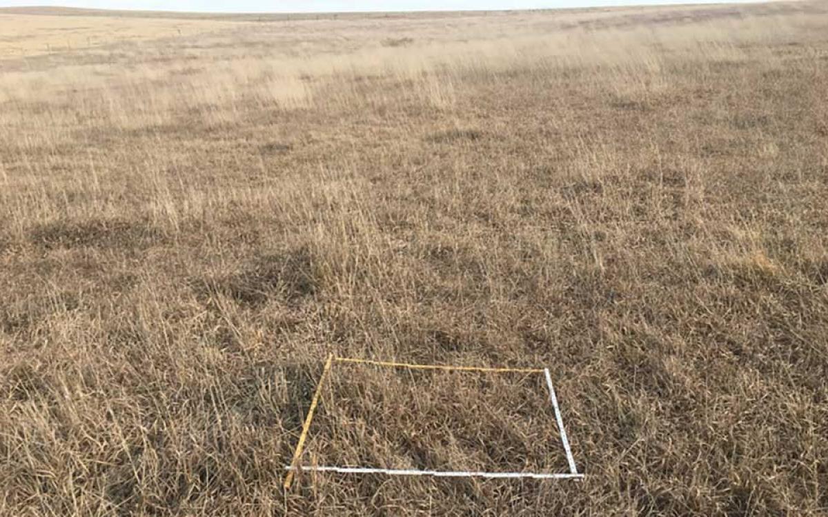 “Snirt” and How To Minimize It