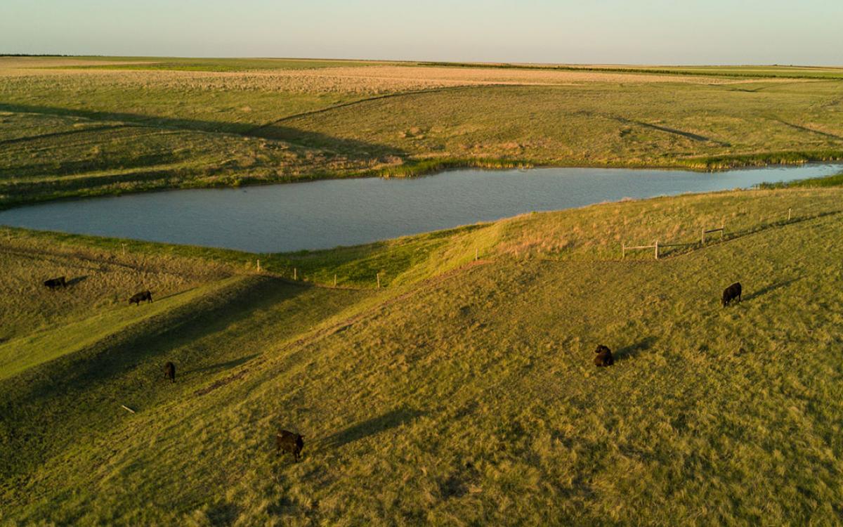 Five Range Management Principles: #1 Adaptive Management