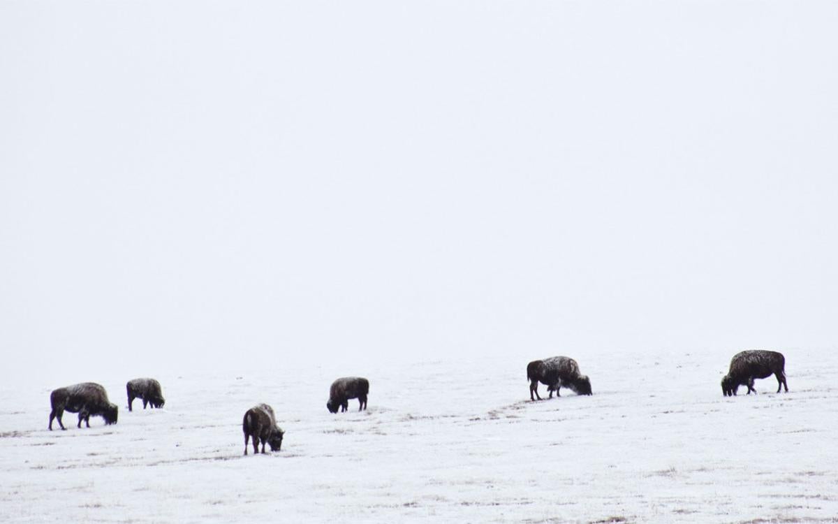 Farm Management | SDSU Extension