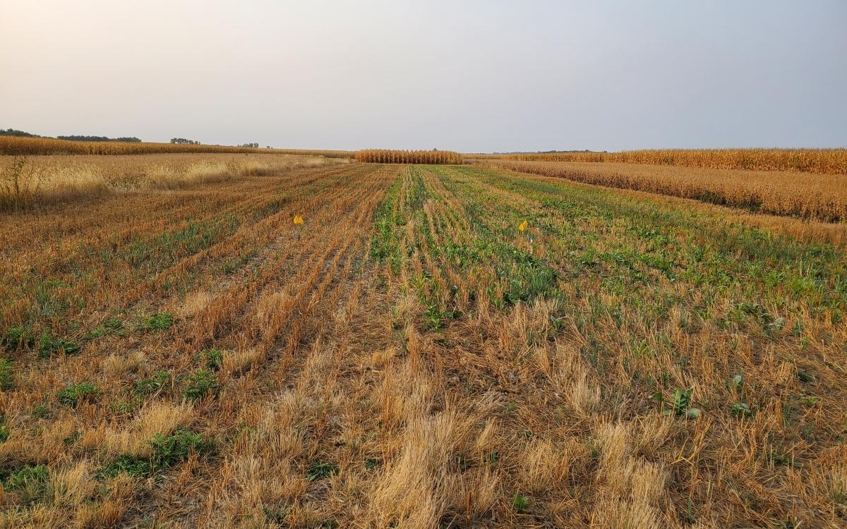 Streamlines Podcast | SDSU Extension