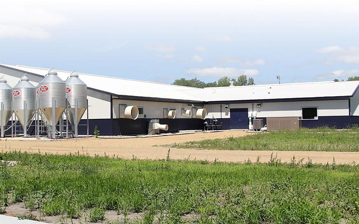 Wean-To-Finish Heating for Newly Weaned Pigs