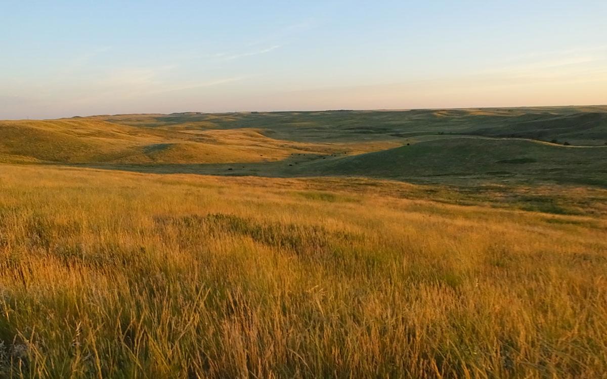 Five Range Management Principles: #5 Climate Ready