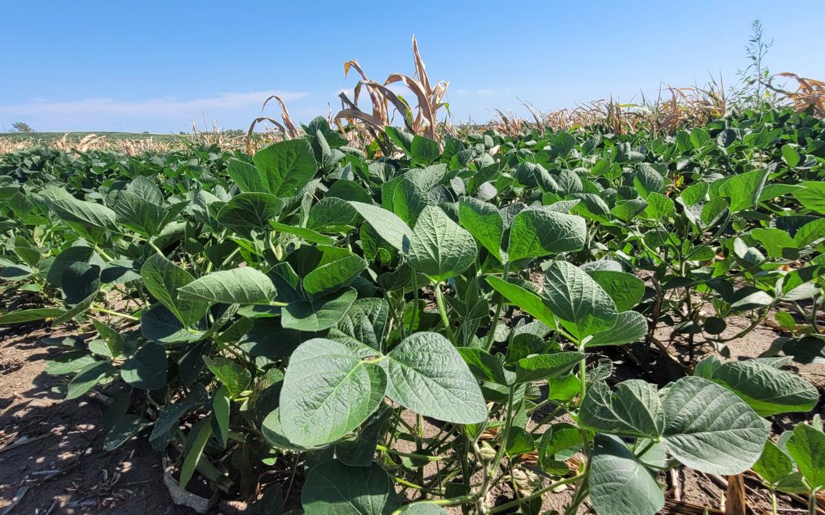 Events | SDSU Extension