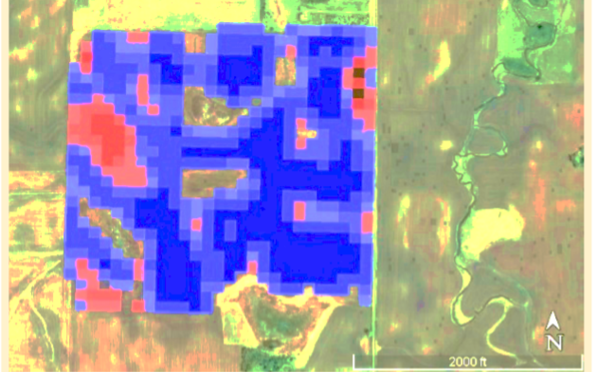 Monitoring Corn Nutrient Deficiencies: The Traditional and Precision Ag ...