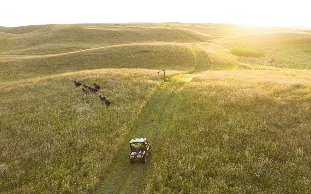The Lasting Effects of Overgrazing on Rangeland Ecosystems