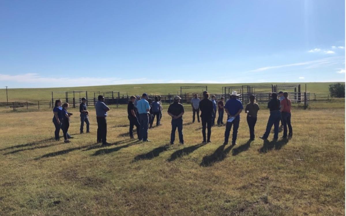 Monitoring Corn Nutrient Deficiencies: The Traditional and Precision Ag ...