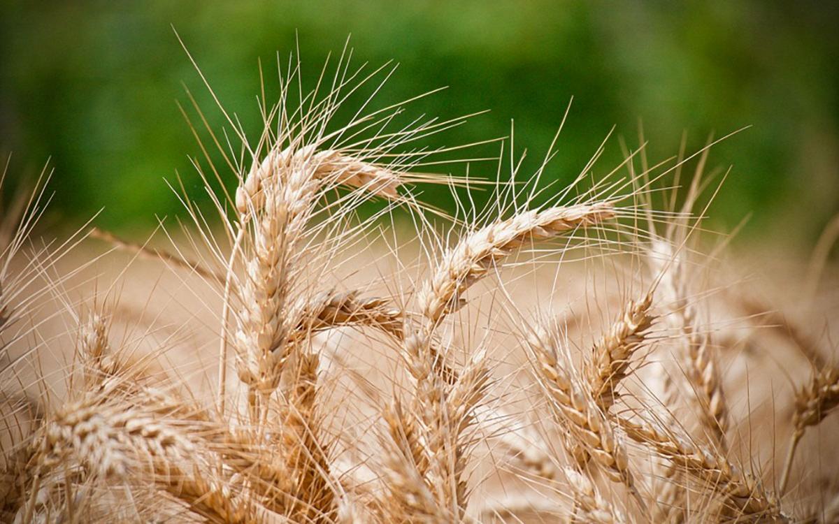 Grain Bin Safety Improvements