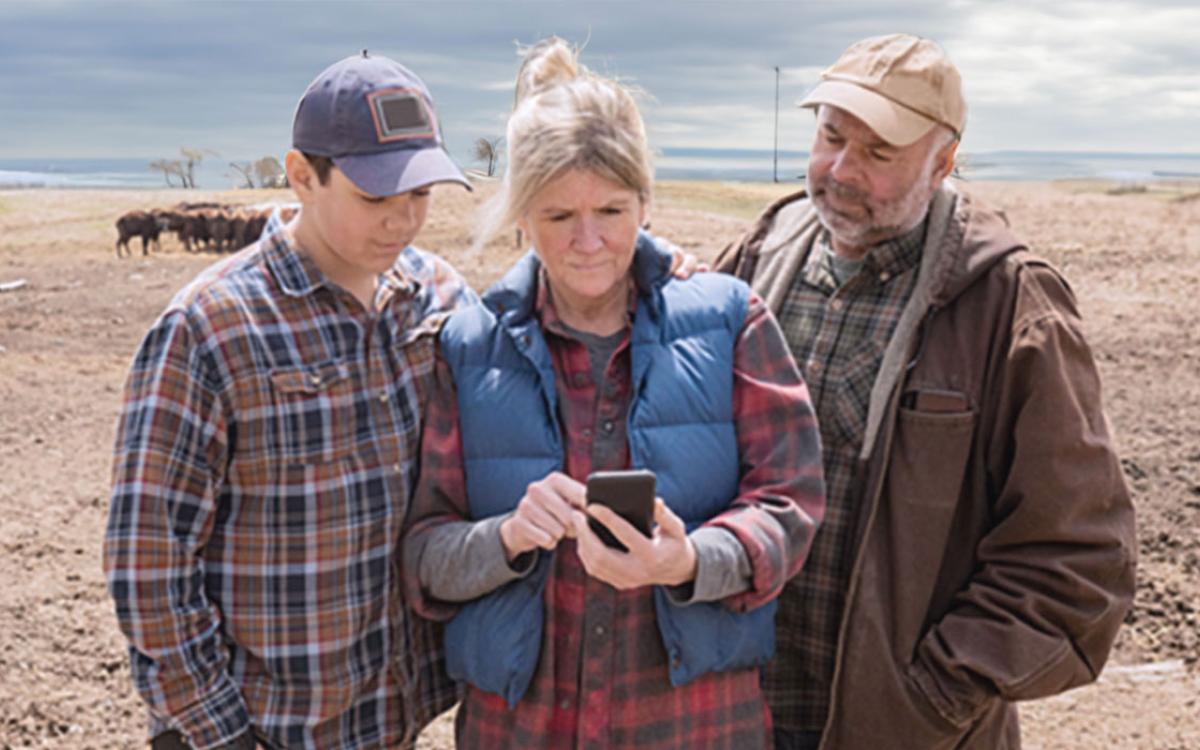 How Much Meat Can You Expect from a Fed Steer?