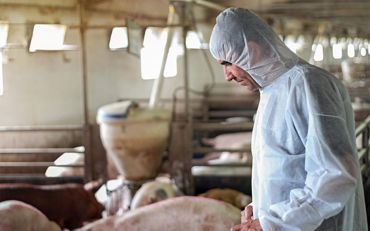 Clostridial Disease Management and Vaccines for Sheep and Goats