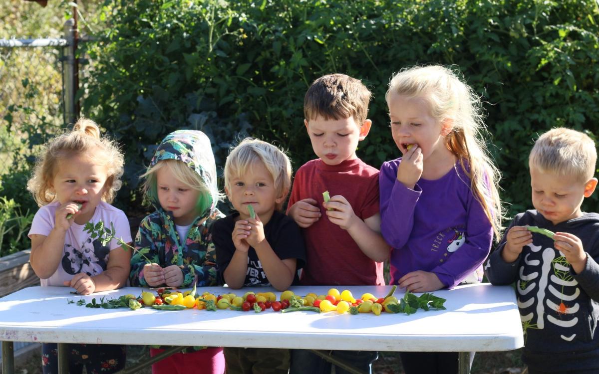 How to Store Leftover Garden Seeds