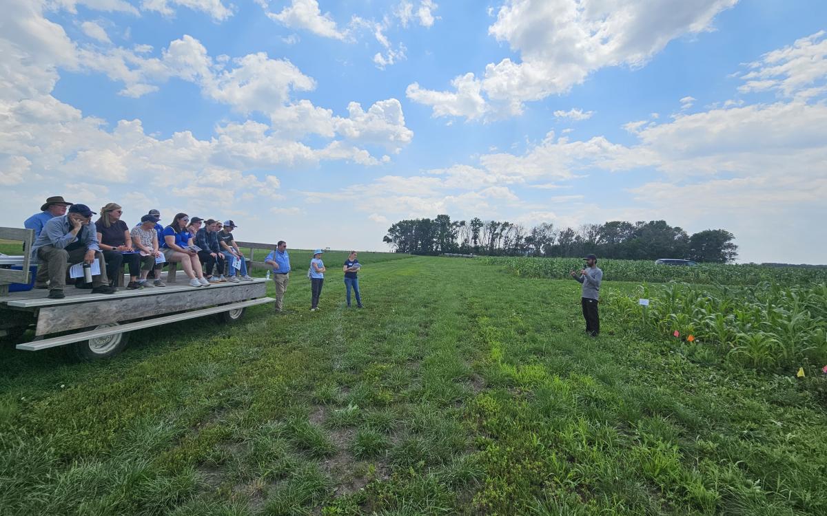 Oat Variety Trial Results