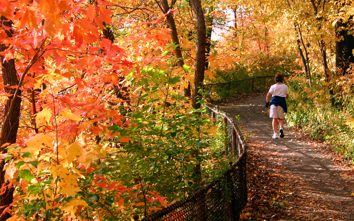 Move Your Way® Campaign: How much physical activity do I need and what ...