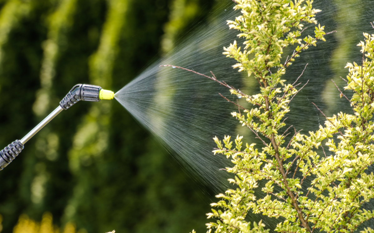 Commercial Applicator Training for Pesticides