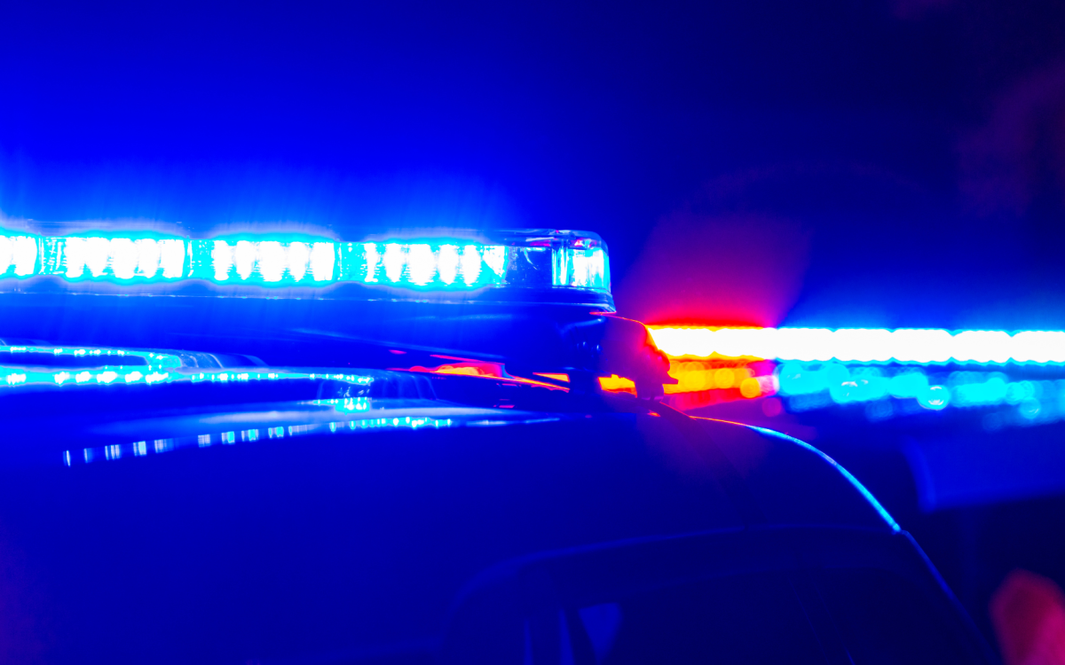 How Much Meat Can You Expect from a Fed Steer?