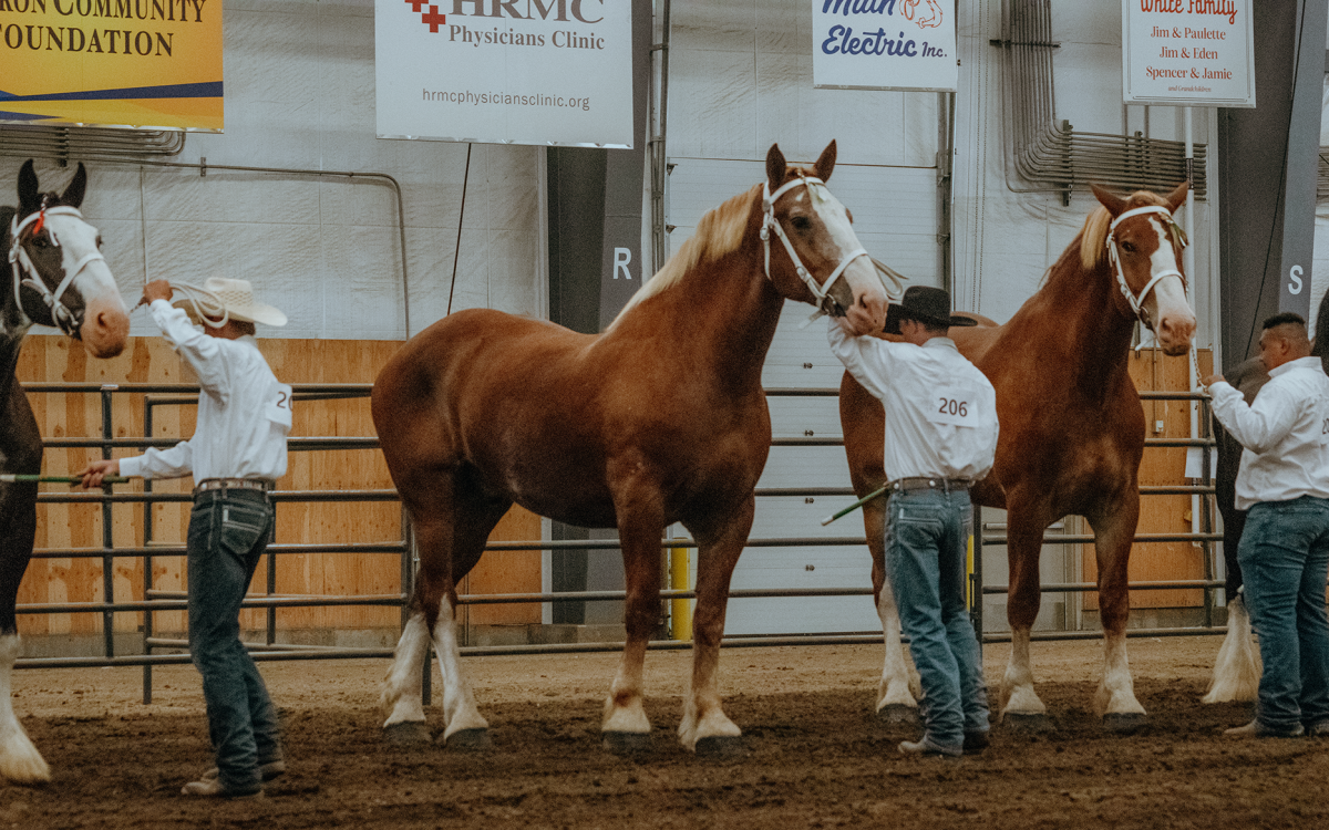 Competitions & State Fair