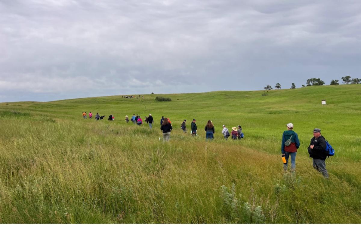 Soil Salinity, Sodicity, and Alkalinity in South Dakota Soils