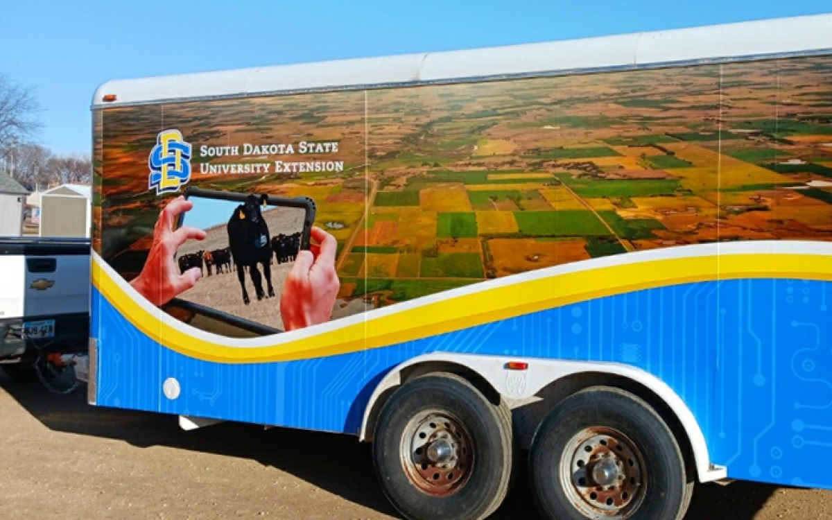 Carbon to Nitrogen Ratio of Healthy Soils