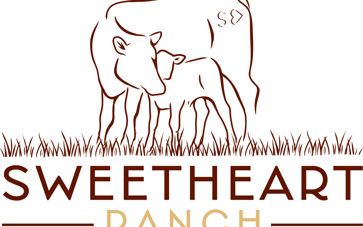 How Soil Holds Water