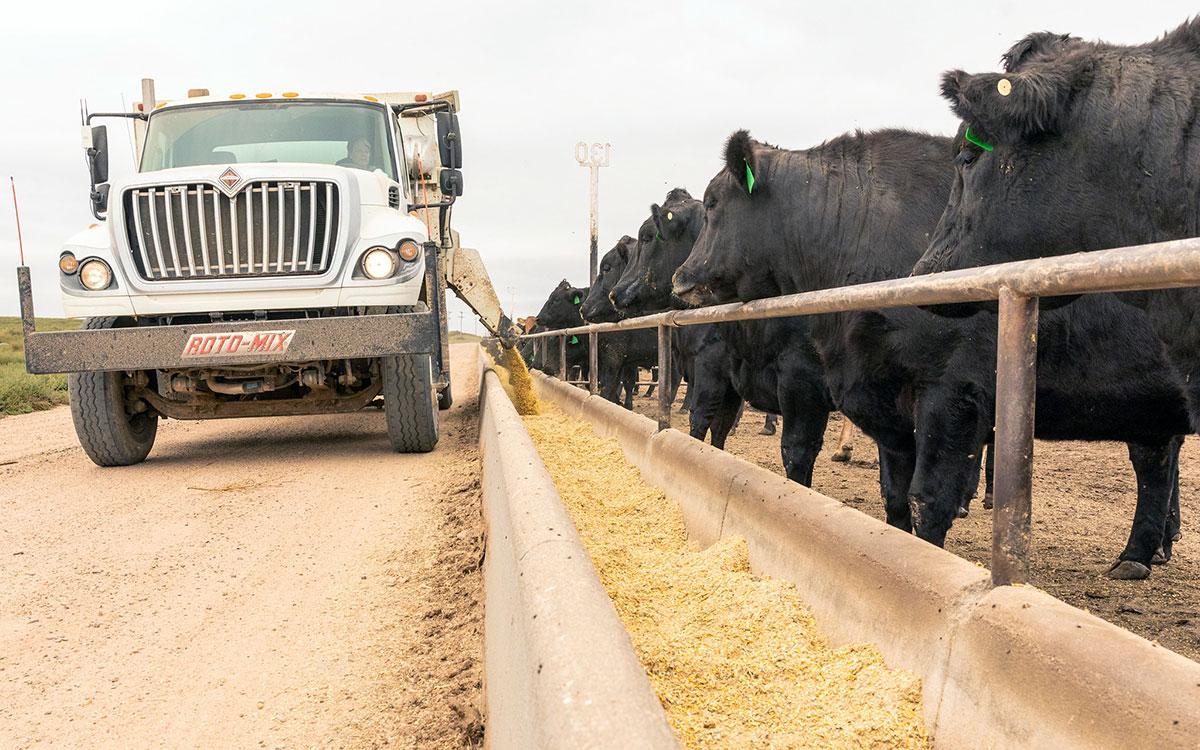 Capitalizing on Cow Costs