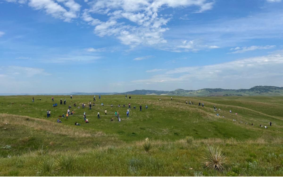 Kaylee.Wheeler | SDSU Extension