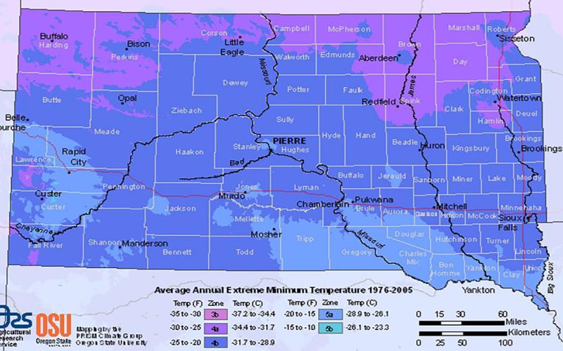 Shrub | SDSU Extension