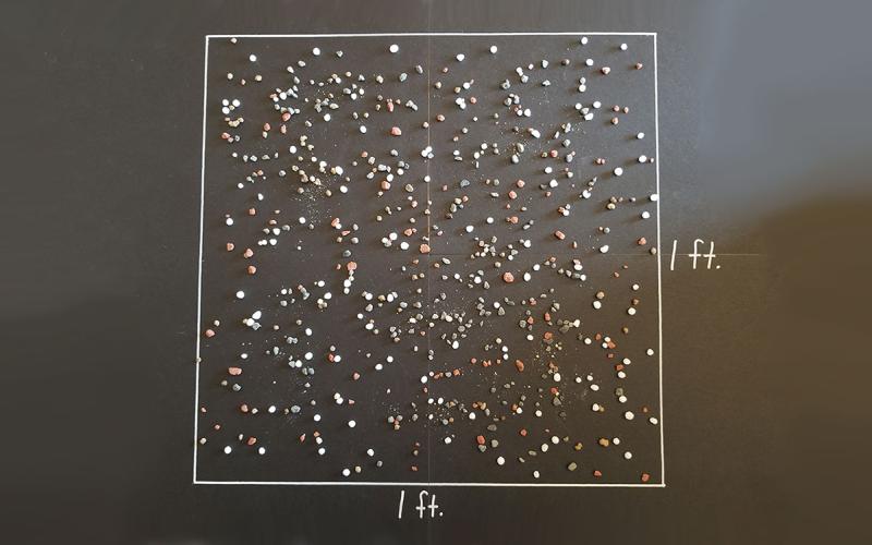 Fertilizer Recommendation Guide