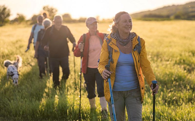 Light, Moderate, And Vigorous Activity