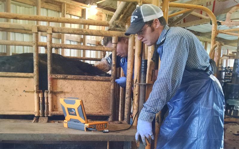 2021 Beef Cow Synchronization Protocols