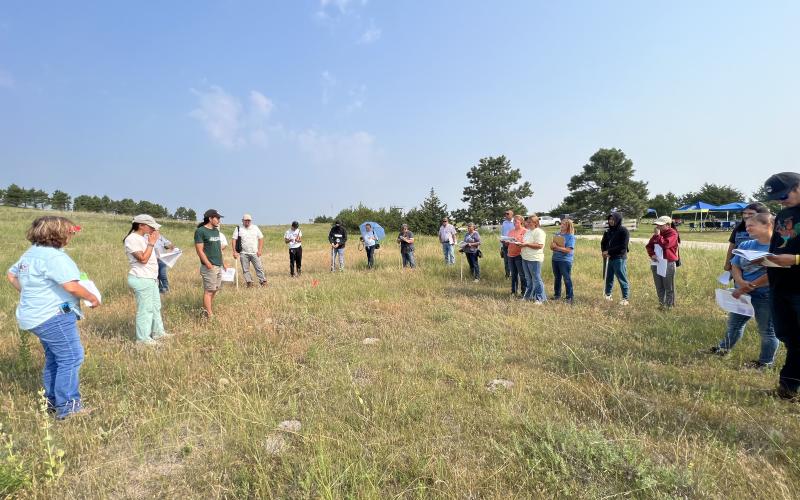 Spring Pasture Report: Dry Soil Conditions Threaten 2025 Grazing Season
