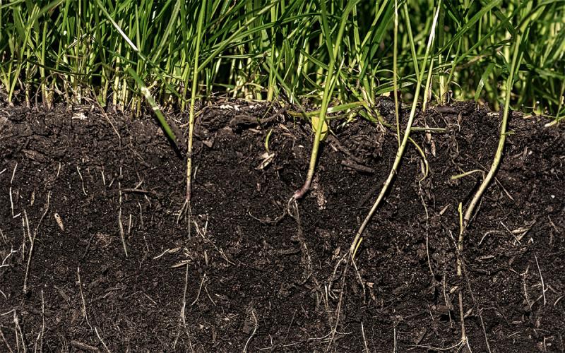 Soil Salinity, Sodicity, and Alkalinity in South Dakota Soils