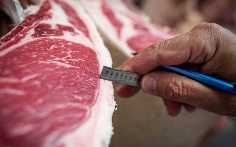 I-29 Moo University Dairy Beef Short Course is March 25